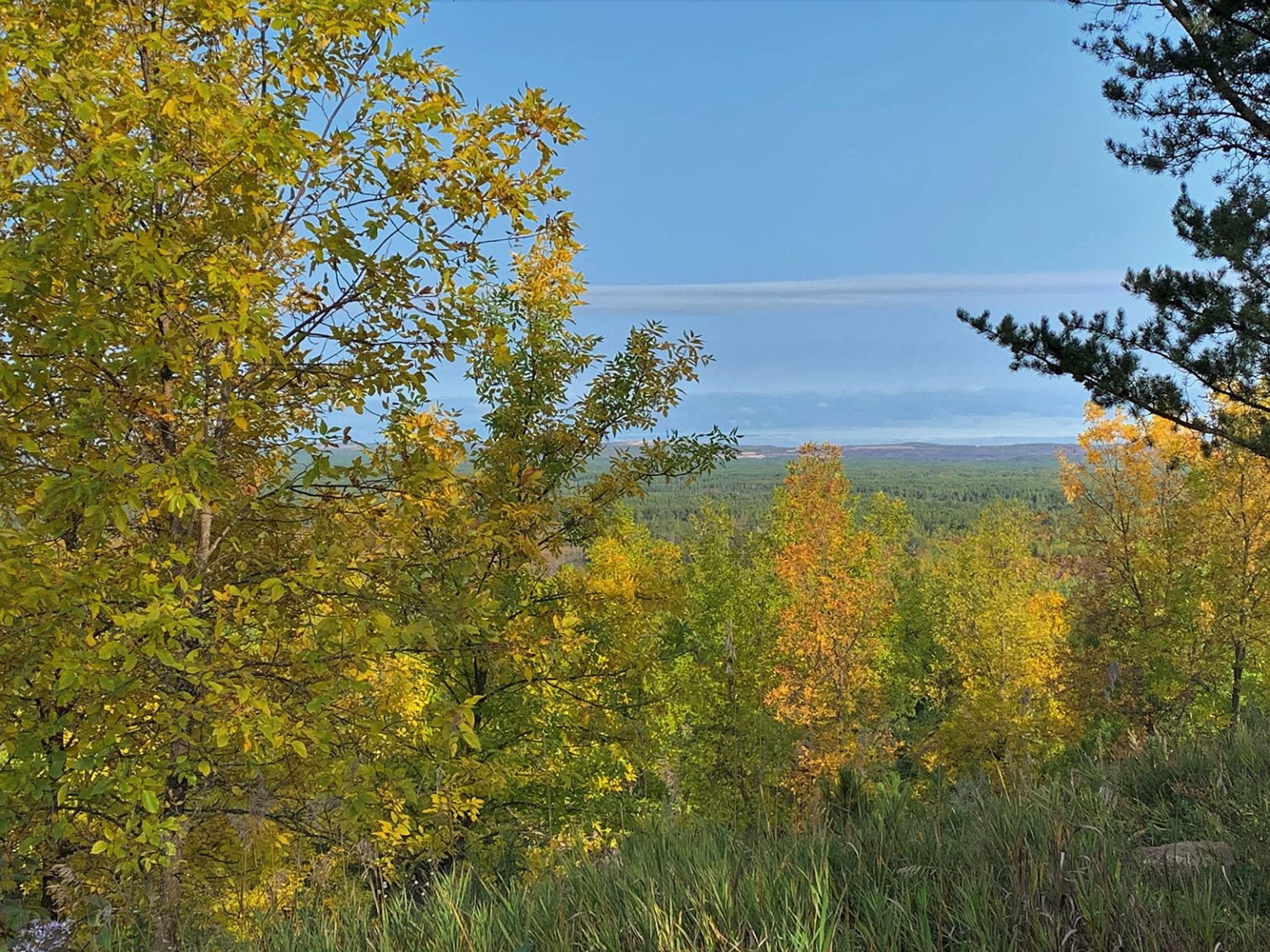 Welcome to City of Leonidas